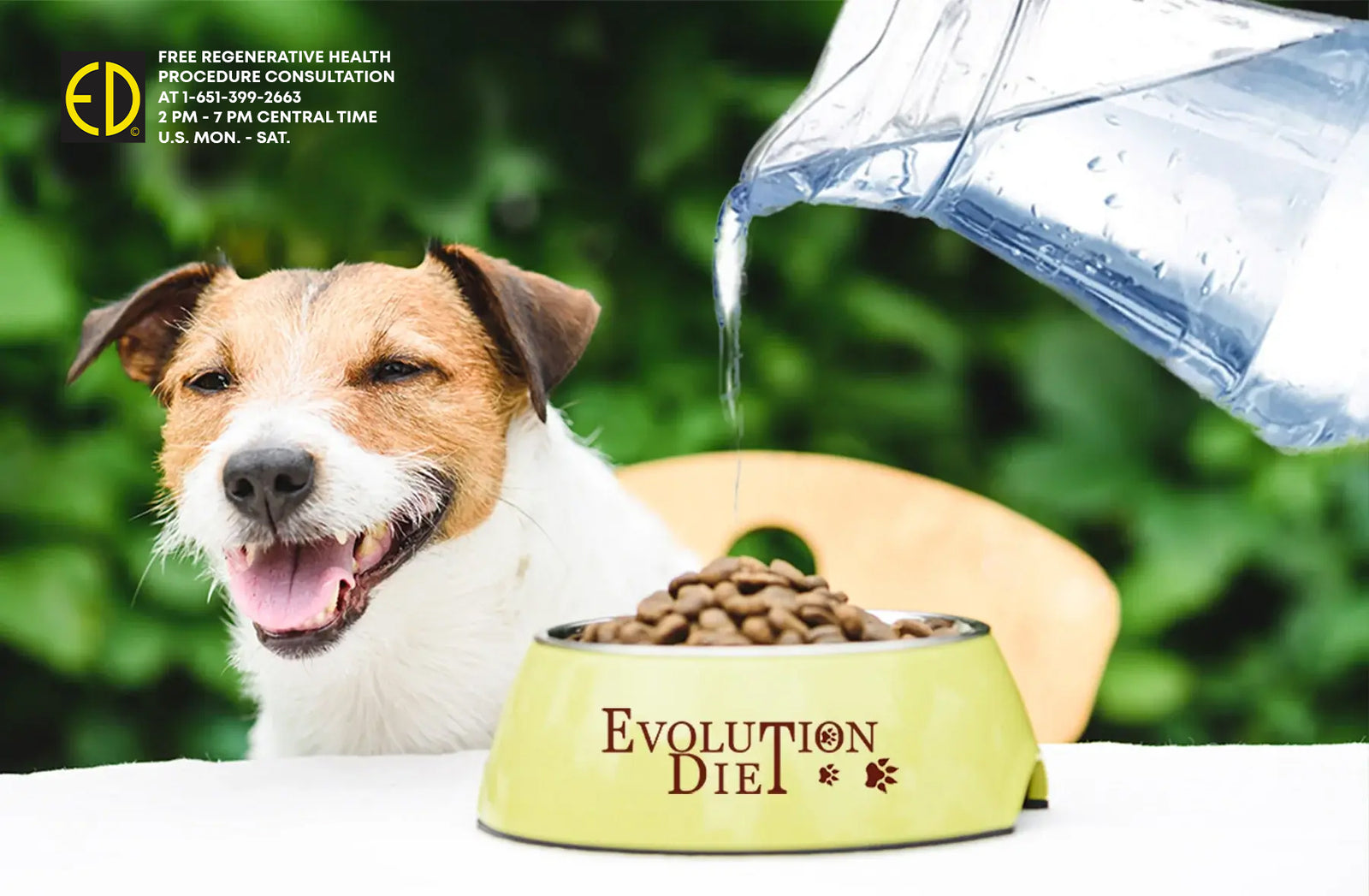 EVOLUTION DIET PROVEN HEALTHIEST - LONGEST LIFE PET FOODS